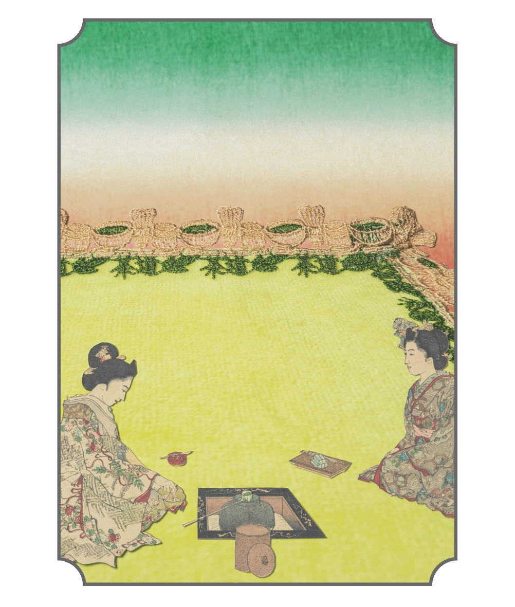 近沢レース店 2025SS Collection