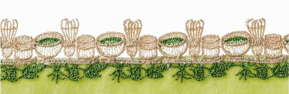 近沢レース店 2025SS Collection