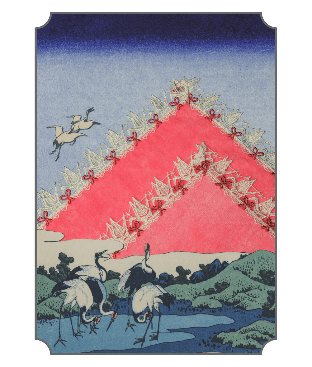 近沢レース店 2025SS Collection